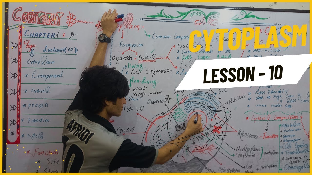 Cytoplasm Structure and function | Cytosol Class 11 biology - YouTube