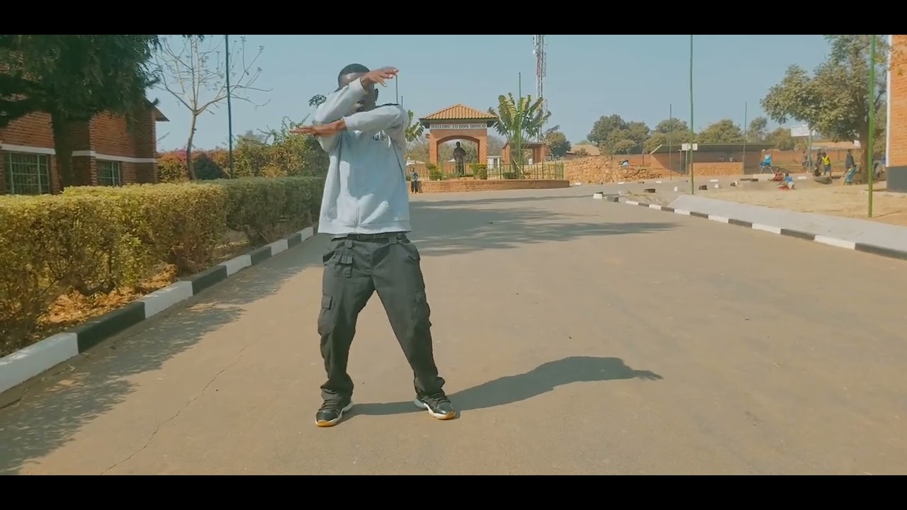 Megan thee stallion -mamushi (feat yuki chiba) dance video [Lilrai ...