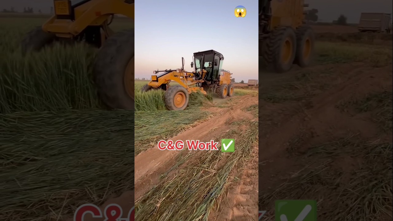 गेहूं की फसल बर्बाद C&G Work for Railway Formation #formation #grader # ...