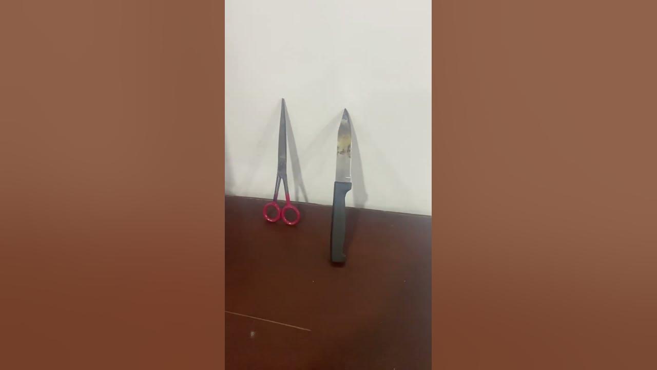 Yolo V8 On Esp32 Object Recognition Arduino Opencvpython Esp32 Fiverr Youtube 