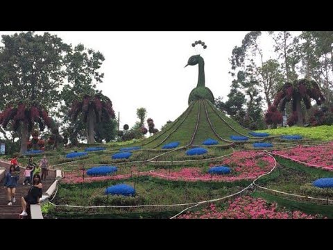 YinXian Resort-Dongguan China - YouTube