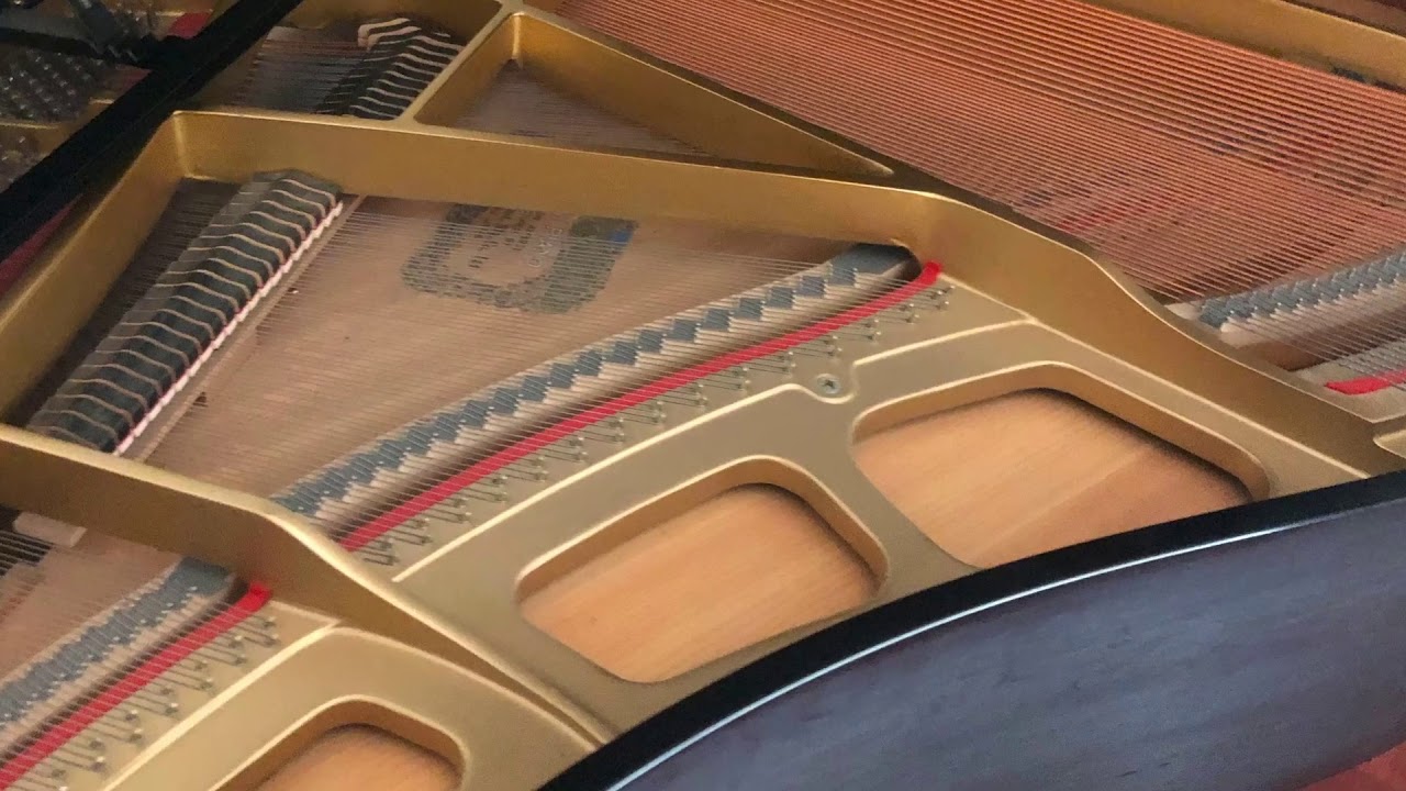 Piano string conditioning and cleaning - Educational Video - YouTube