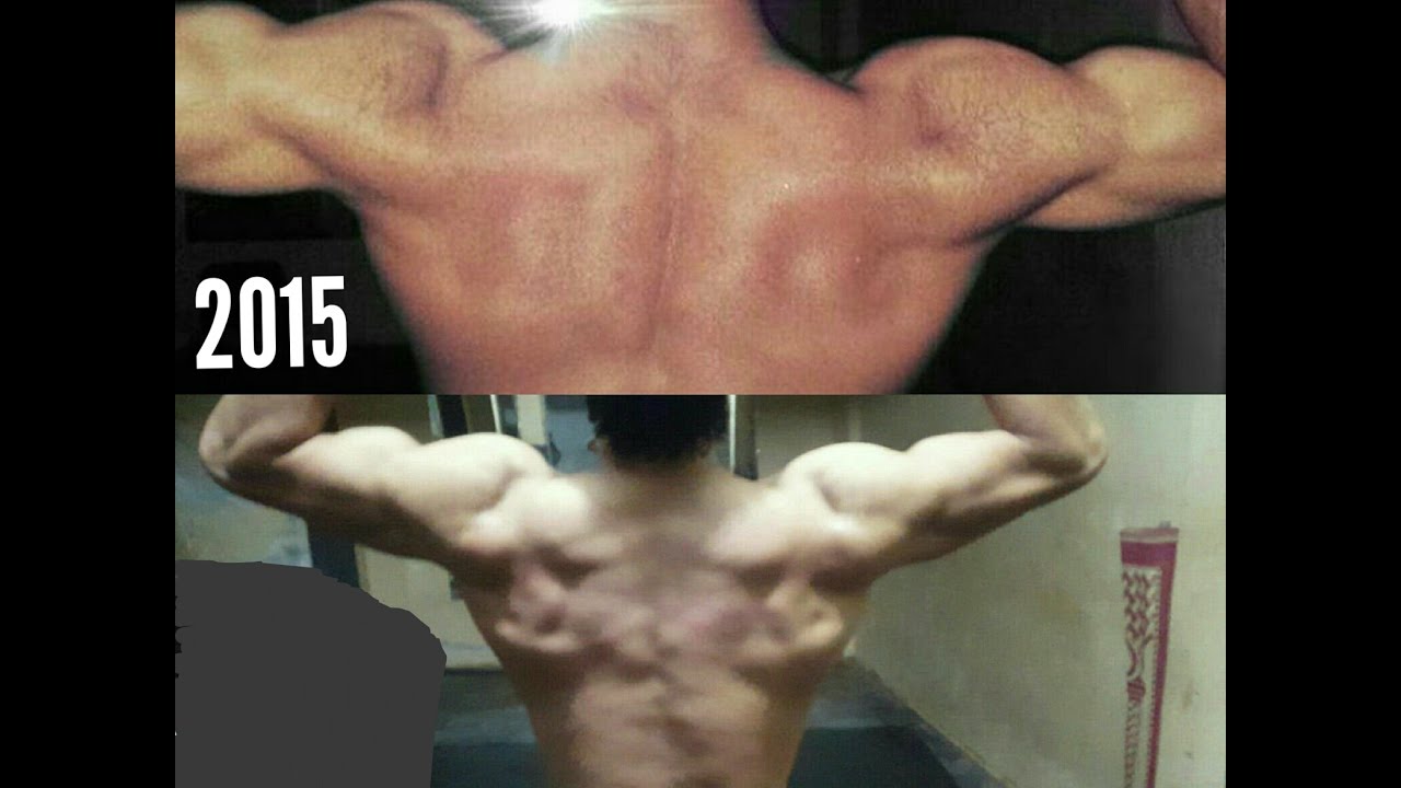 Best Back Workout Video Ever (HIT EVERY MUSCLE!!) - YouTube