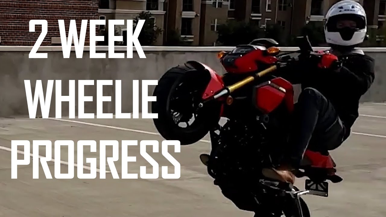 Honda Grom Wheelie Progress (2 Weeks in) - YouTube