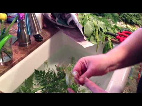 How to make a Boutineer - YouTube