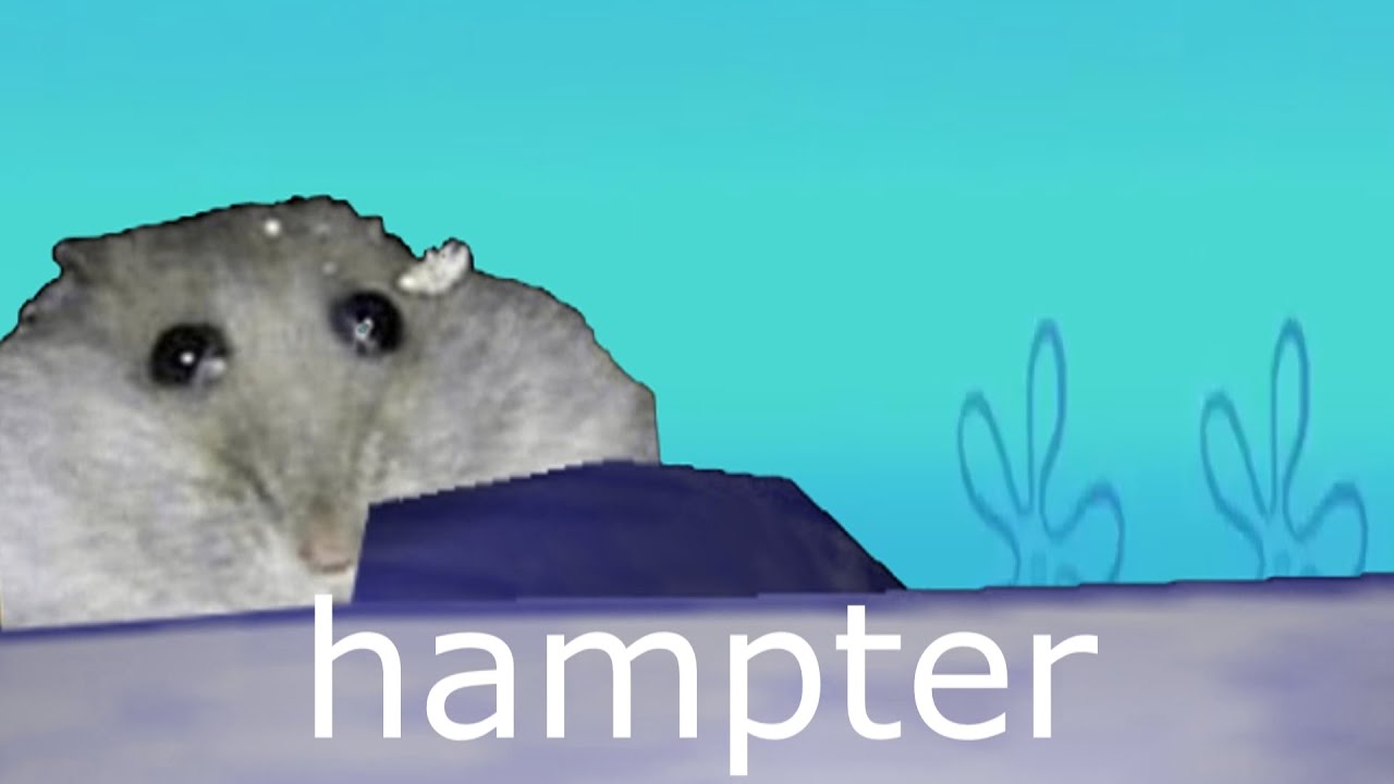 hampter meme - YouTube