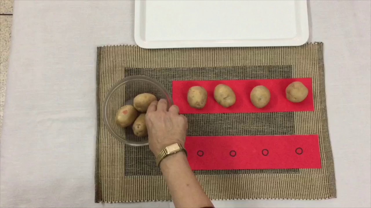 Montessori At Home | Practical Life Exercise |Transferring Activity ...