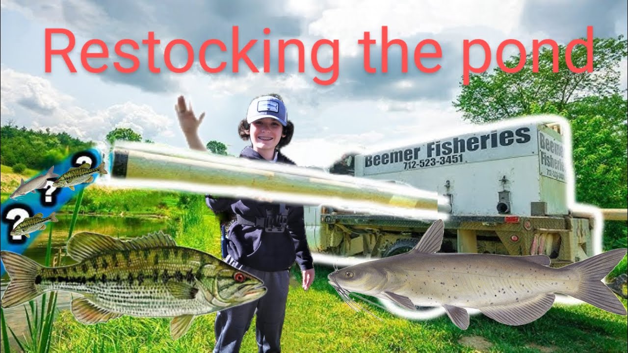 we have officially restocked the pond now it's time to start fishing ...