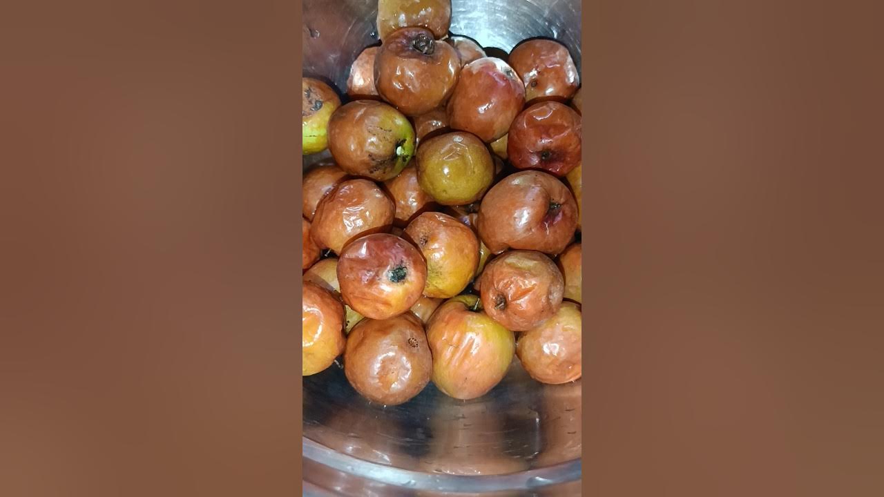khatte Mithe Ber#indianjujube #fruits#shortsfeed #tasty - YouTube