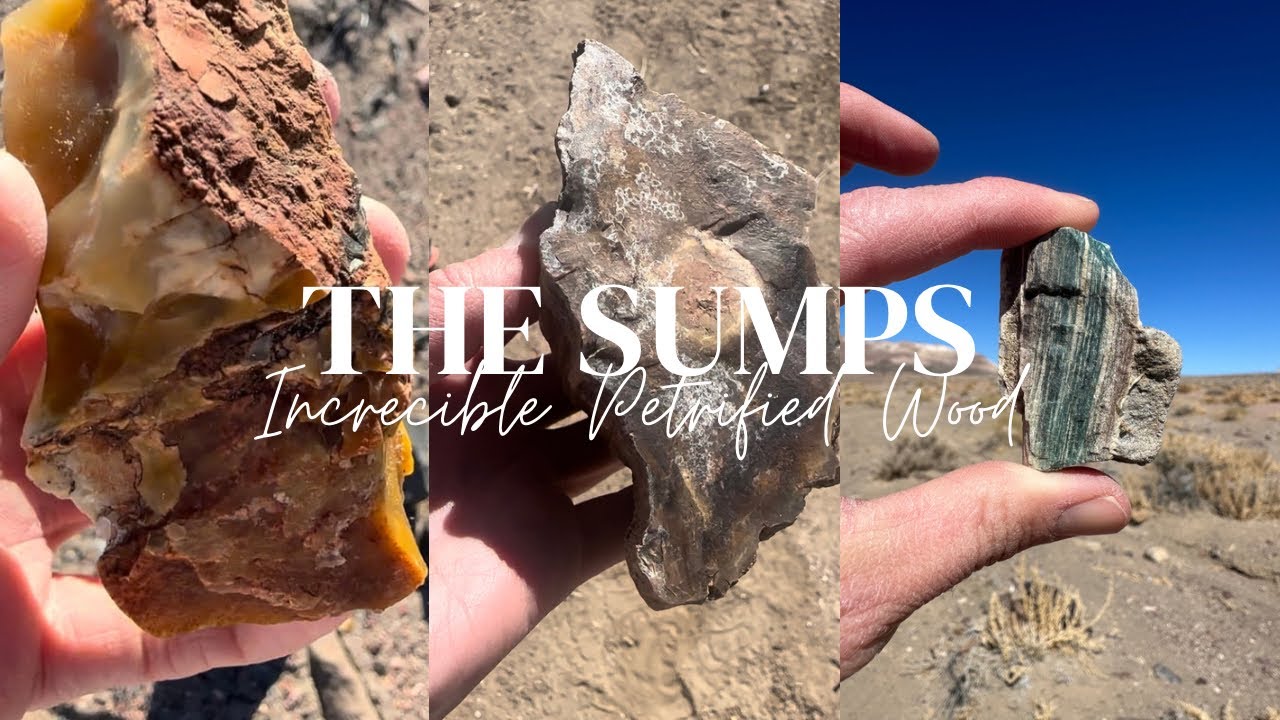 The Sumps in Nevada - YouTube