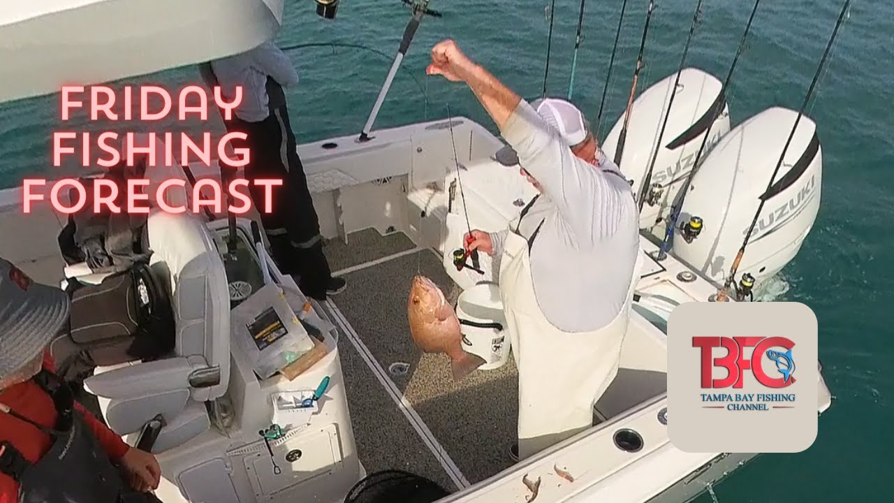 Friday Fishing Forecast for Tampa Bay! - YouTube