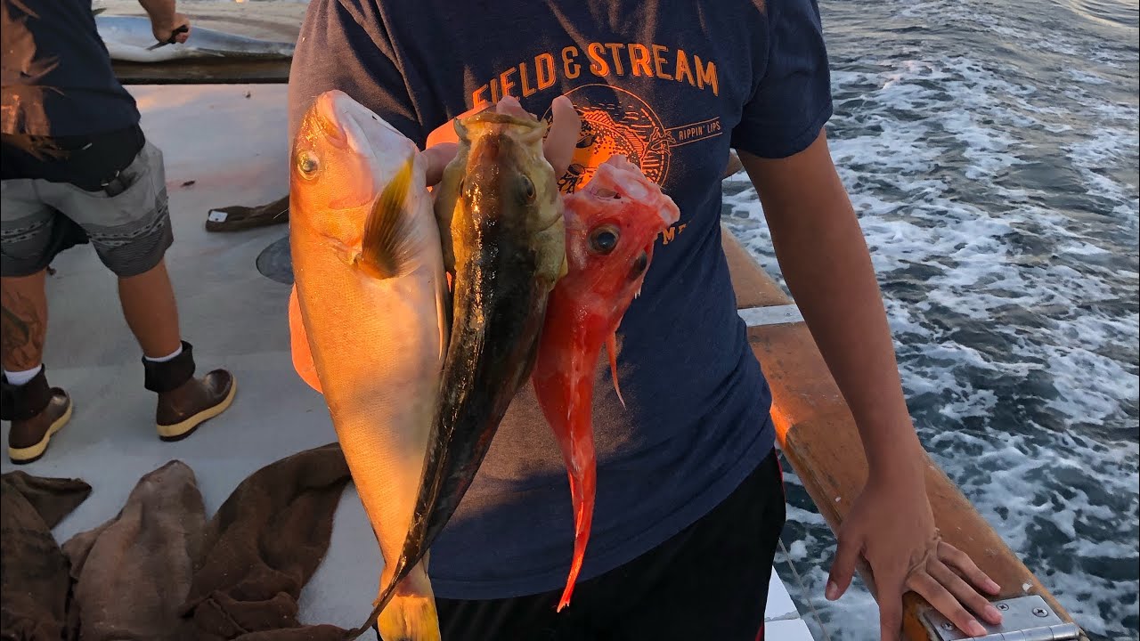 San Diego Calico Bass and Rock Fishing (Seaforth Sportfishing) - YouTube