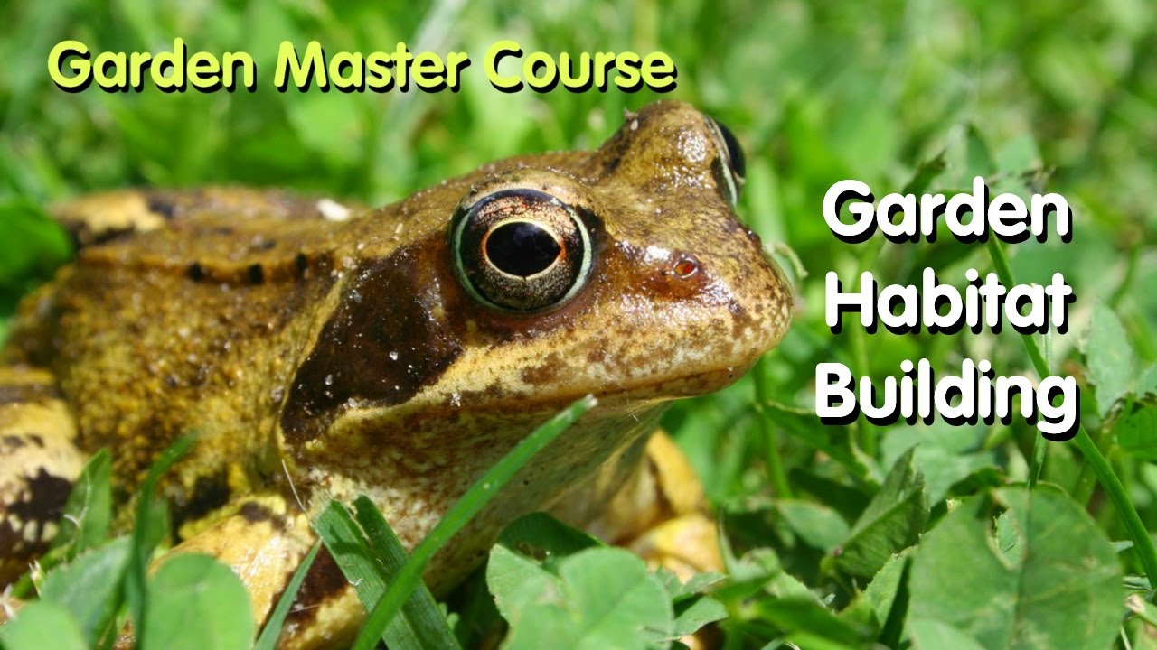 Create a Fertile, Pest-Free Garden Ecosystem by Building Habitat - Garden Master Course - YouTube