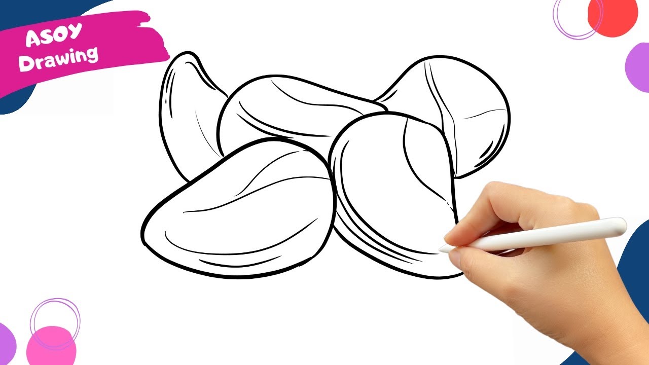 How to Draw Cola Nut - YouTube