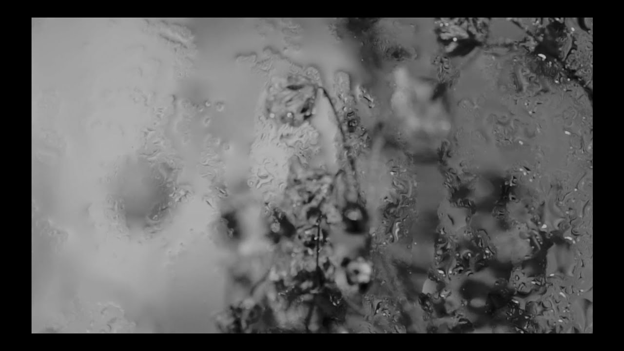 Catch The Breeze - Winter is Gone (Official Video) - YouTube