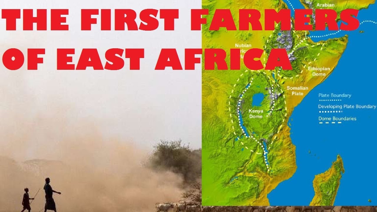 Ancient DNA Reveals Movements of First Farmers in East Africa's Rift ...