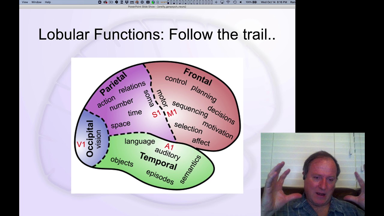 GenPsych Course 2020, Neuroscience 5: Functional Specialization in ...