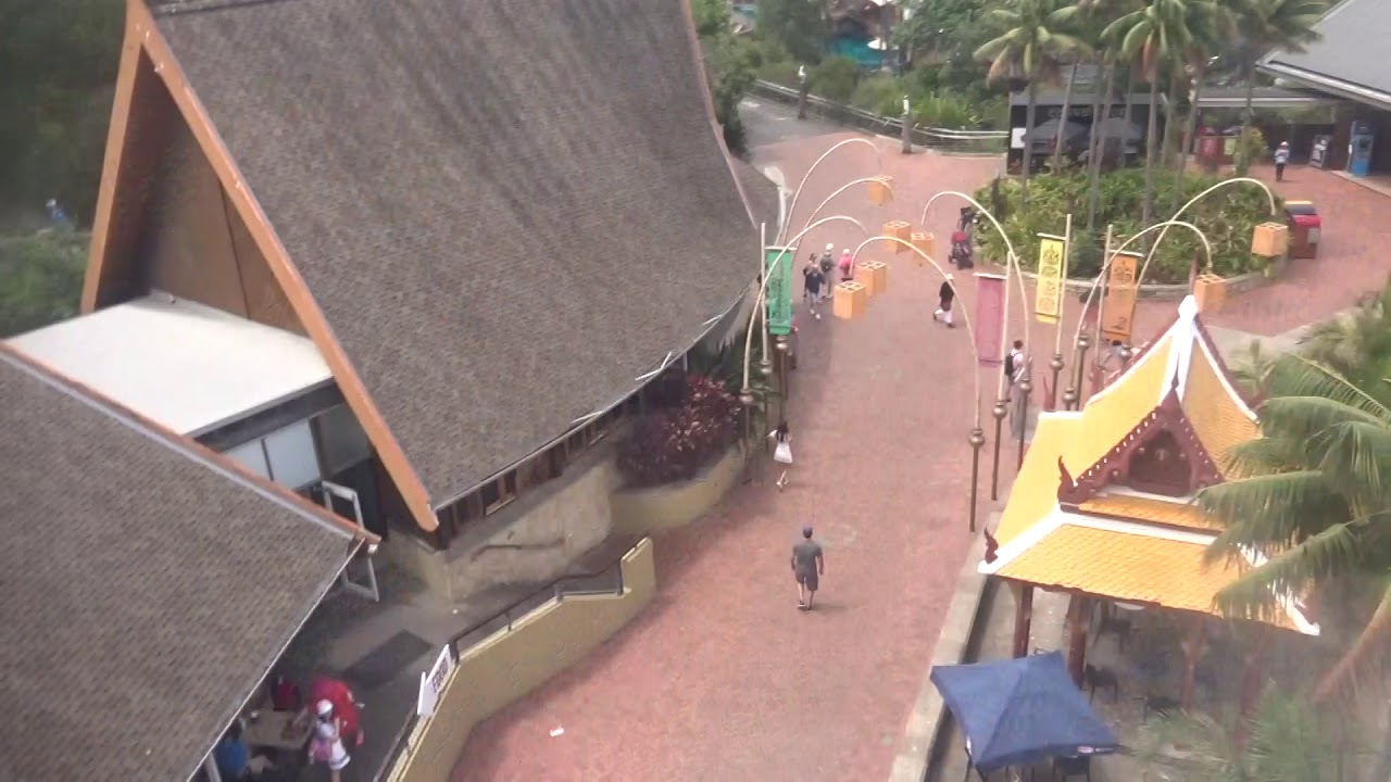 Taronga Zoo Sky Lift [Sydney 2019][24] - YouTube