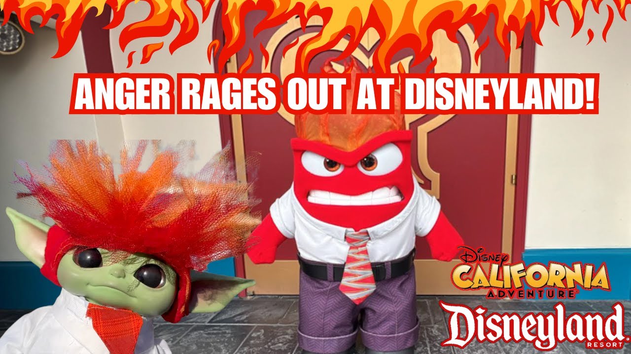 Anger Rages Out At Disneyland | 2024 - YouTube