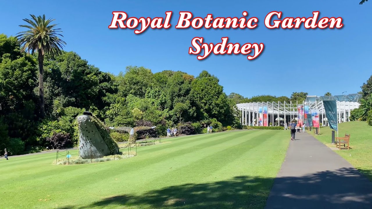 Walking tour to Sydney Royal Botanic Garden from Circular Quay | Sydney ...