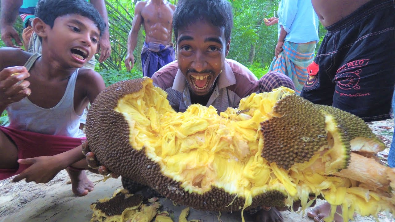 Giant RIpe JACKFRUIT Eating Competition | Picking Jackfruit From Tree ...