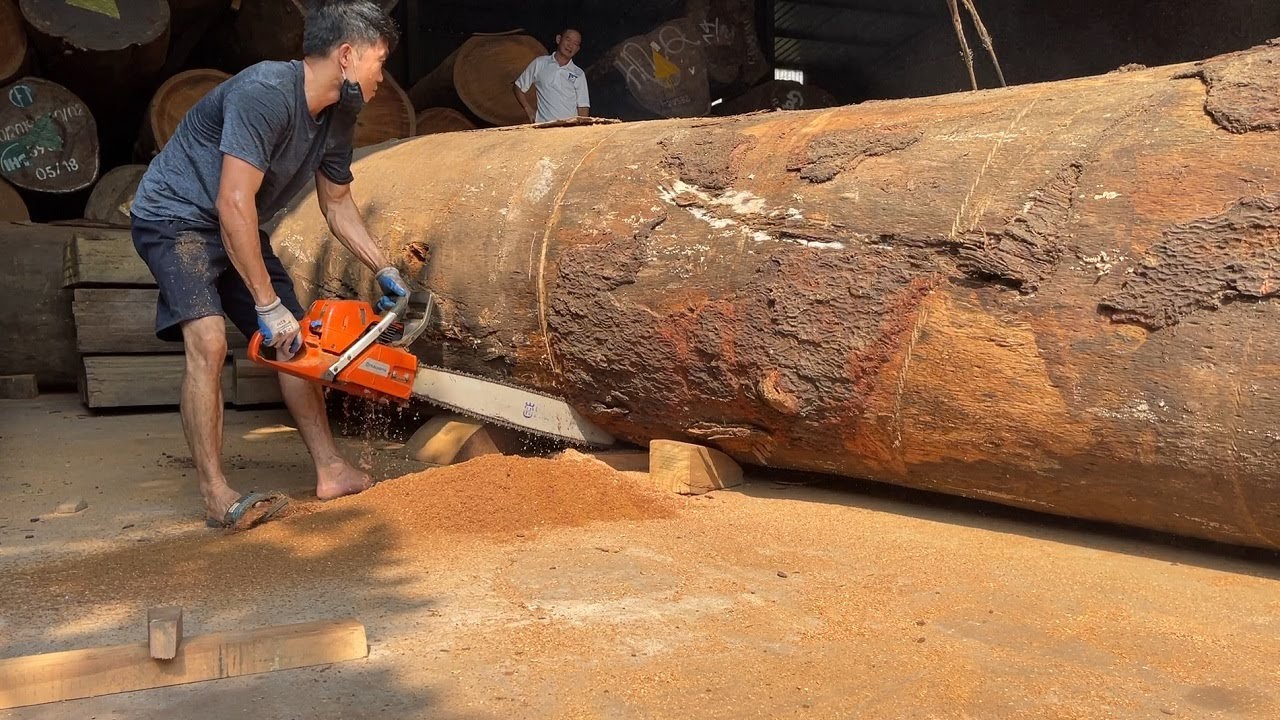 Amazing Sawmill Machines Working - Modern Technology Sawn Fastest Large ...