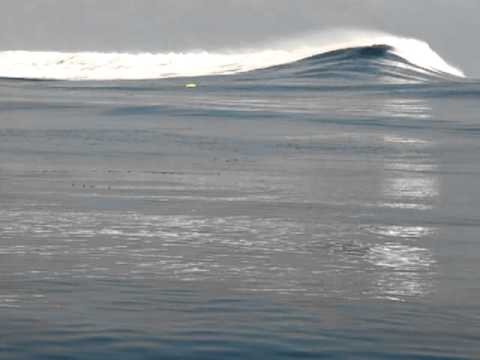 First break on the Cortes Bank - YouTube