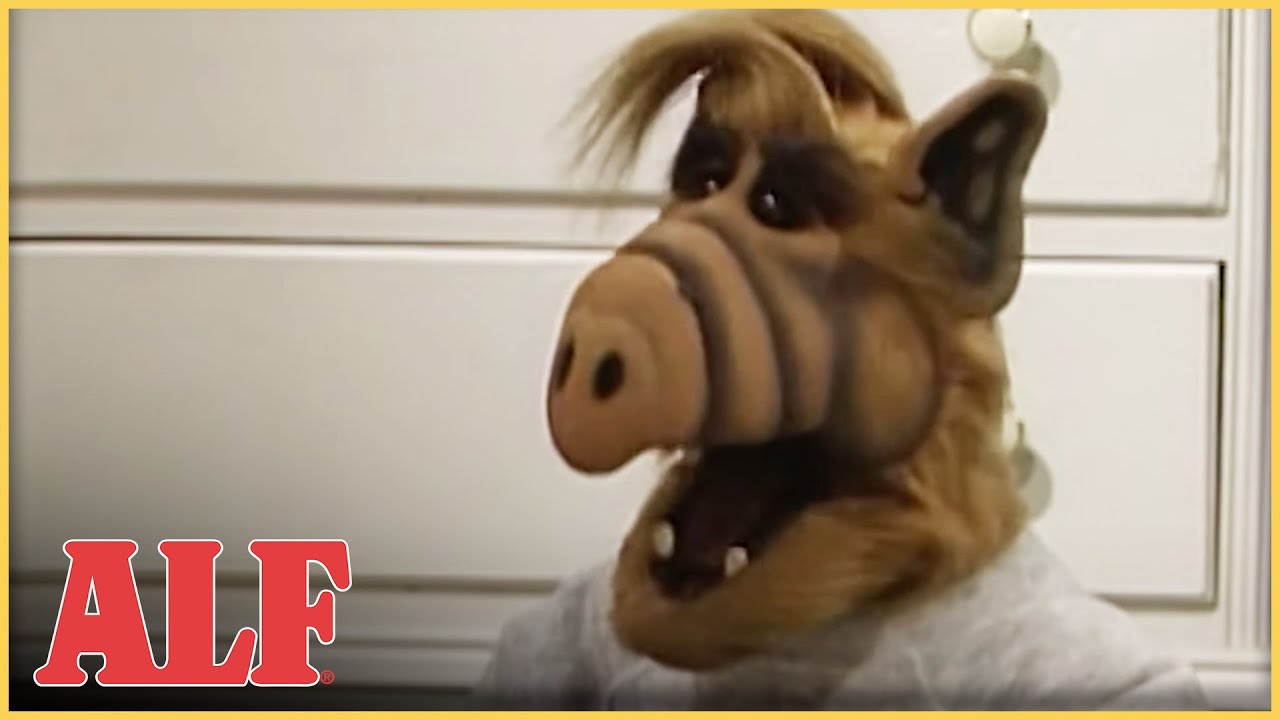 ALF Doesn't Want Kate to Work | ALF | S3 Ep9 Clip - YouTube