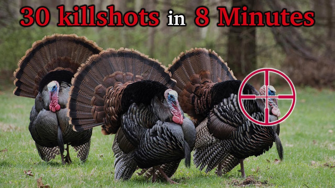 30 Turkeys in 8 Minutes - YouTube