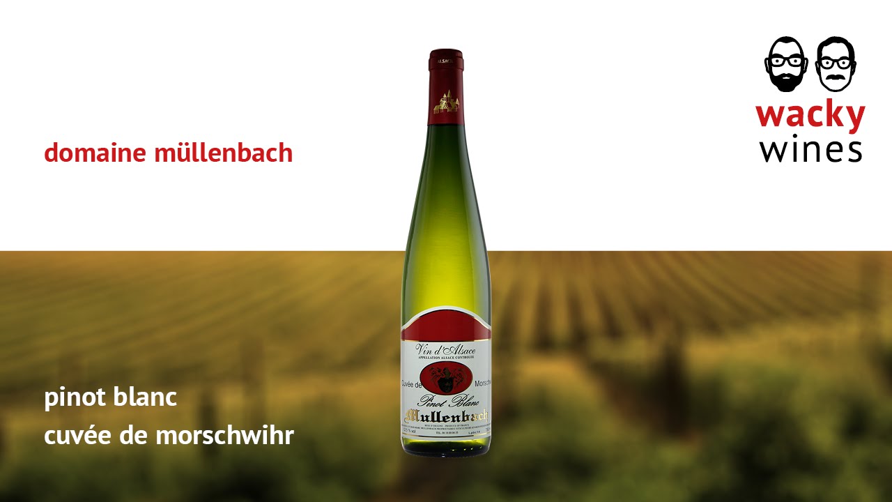 pinot blanc | mullenbach - YouTube