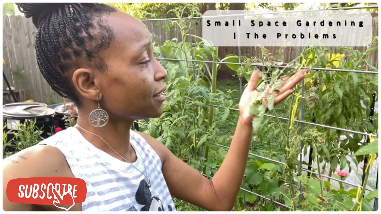 Small Space Gardening | The Problems - YouTube
