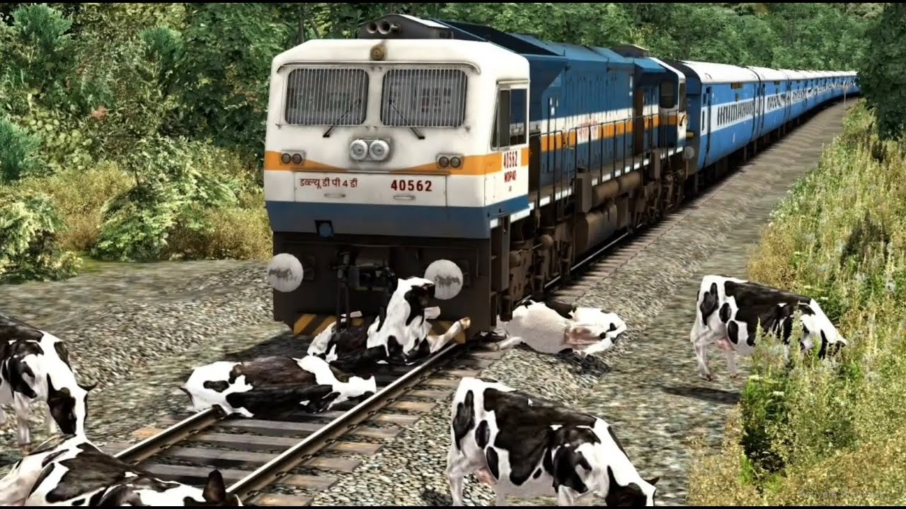 CABRIDE in WDP4D | 10 Cow Came in Front of Engine | Cow VS train ...