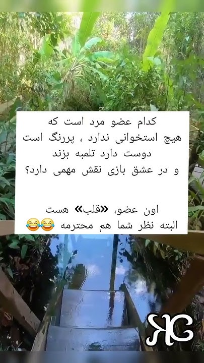 🤣🤣🤣🤣 جک خندهدار خنده کمدین جوک Funny کمدیایرانی فان Fun تکستگرافی Youtube