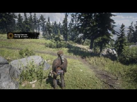 Red Dead Redemption 2 Ms.Hobbs Taxidermy - YouTube