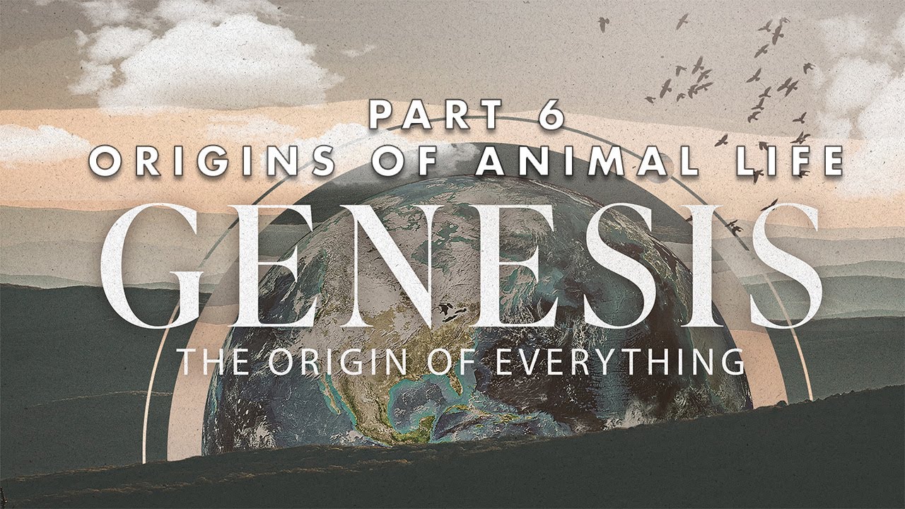 08.31.25 | Pt 6 Origins of Animal Life | Genesis: The Origin of ...