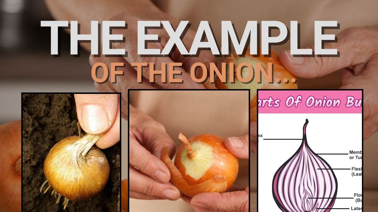 the example of the onion... - YouTube