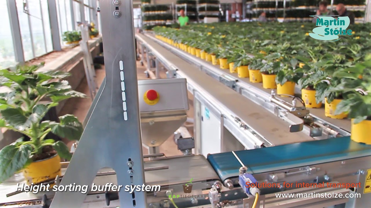 Height sorting buffer system for pot plants - Höhensortierpuffersystem ...