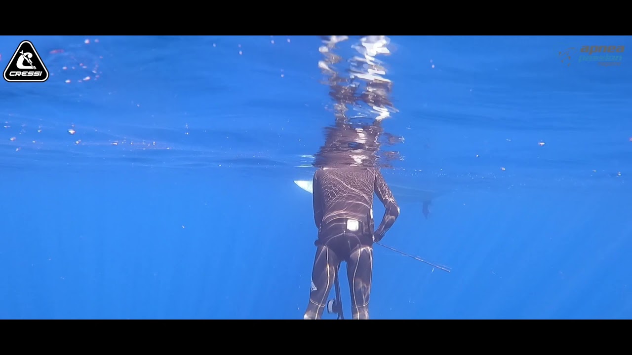 Cressi athletes World Spearfishing Champions - YouTube