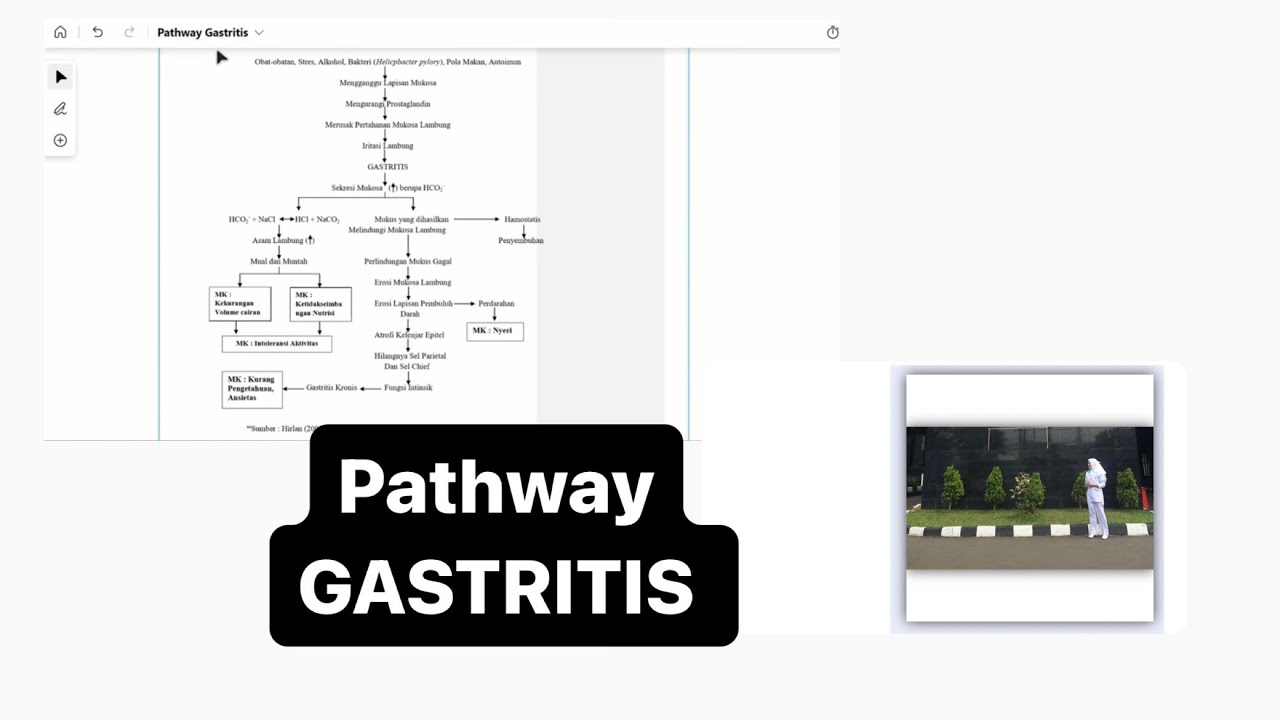 Pathway GASTRITIS | DIAGNOSA KEPERAWATAN eps.28 - YouTube