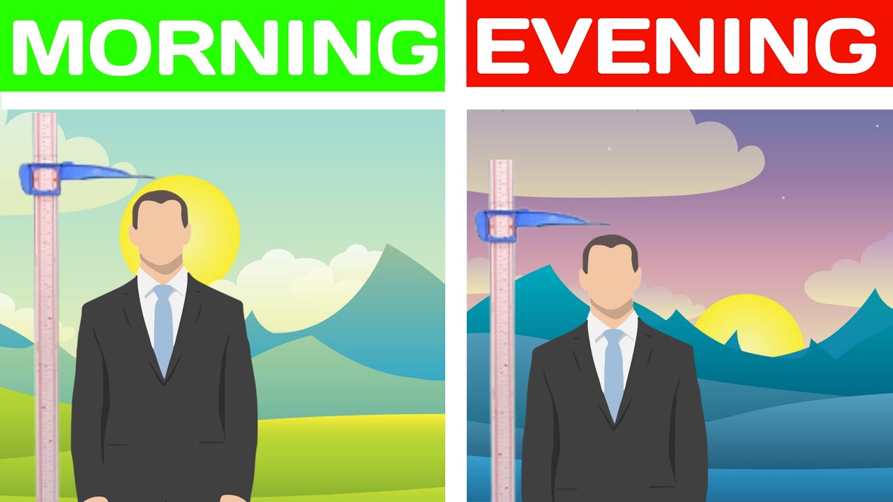Shocking Things About Why Your *Height Decreases* In The Evening ? - YouTube