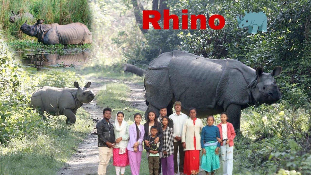 real Rhino 10-15 miter - YouTube