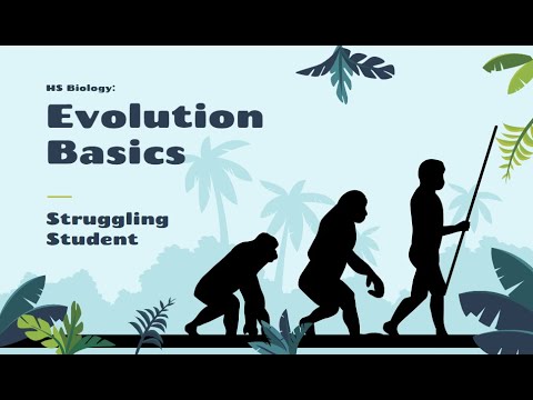 Evolution Basics - YouTube