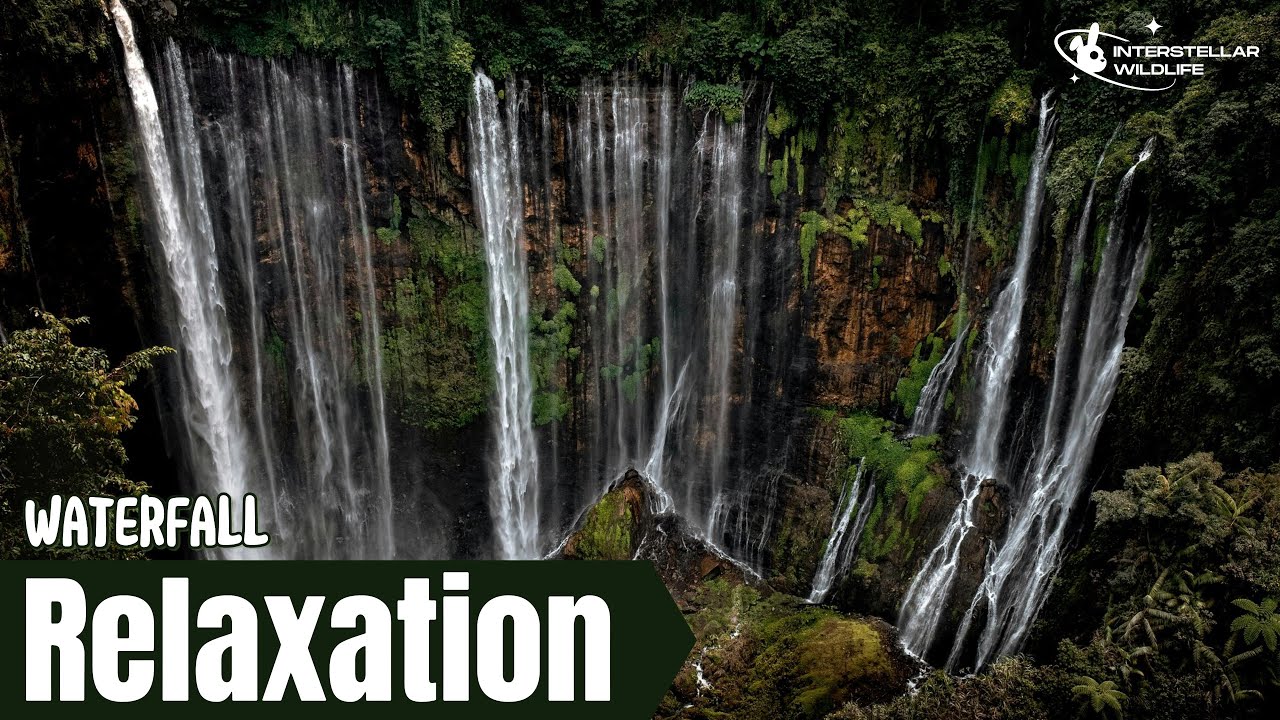 Tranquil Waterfalls: Nature's Symphony for Ultimate Relaxation # ...