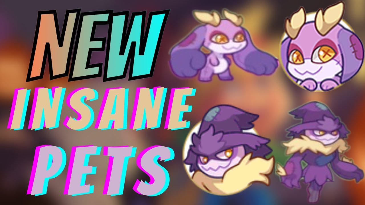 Prodigy Math Game | INSANE New Pumpkinfest Pets in Prodigy! - YouTube