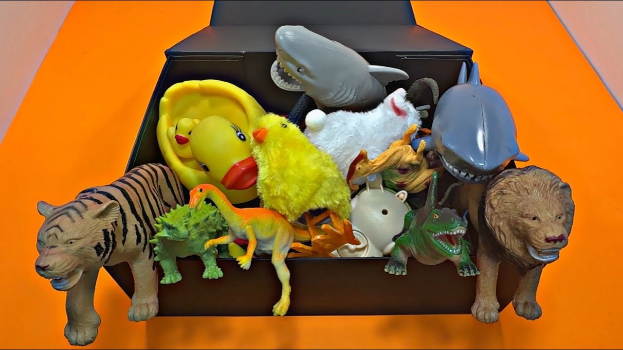 Satisfying Play With A Box Full Of Zoo Animals - Shark, Duck, Chick ...