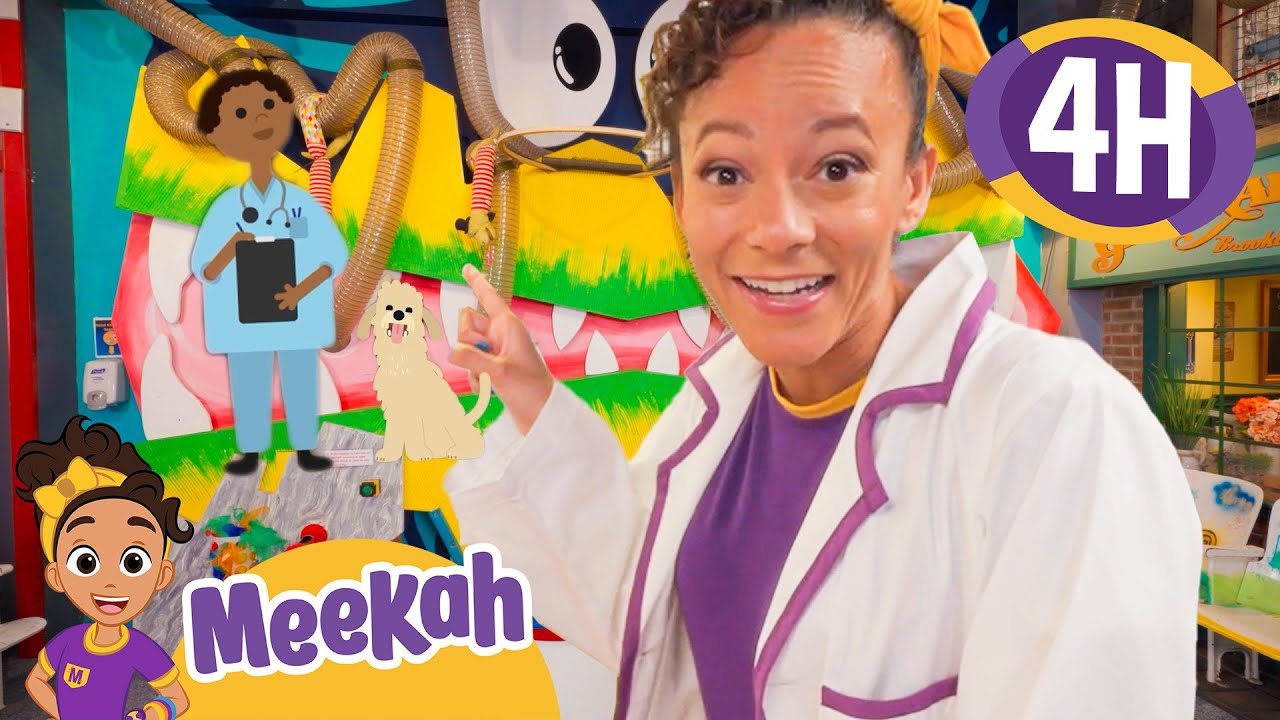 Vet for a Day: Meekah Saves the Day at Twinkle!👩‍⚕️| 4 HR OF MEEKAH ...