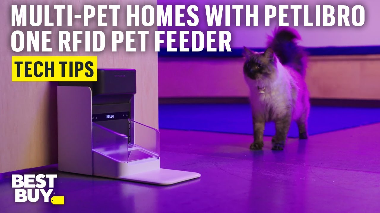 Using the PETLIBRO One RFID Pet Feeder in Multi-Pet Homes – Tech Tips ...