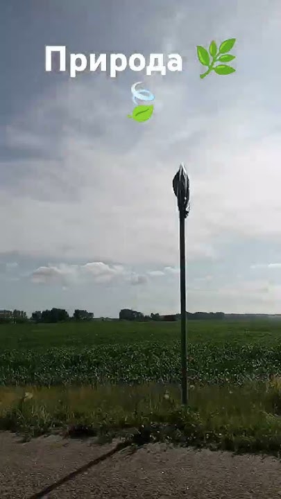 природа 🌿🍃🌿🍃🌿🍃 - YouTube