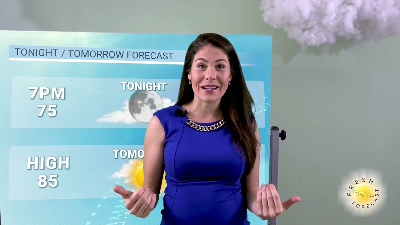 Your Middle Tennessee Fresh Forecast with Chief Meteorologist Daphne ...