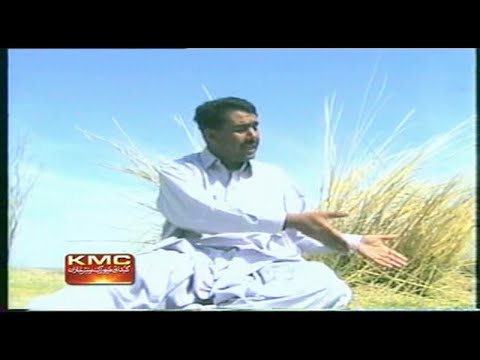 Kaye Mana Chust - Manan Babu - Balochi Regional Songs